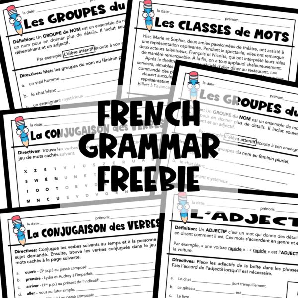 Le déterminant - Exercices et quiz - French Grammar Worksheets - Mme ...